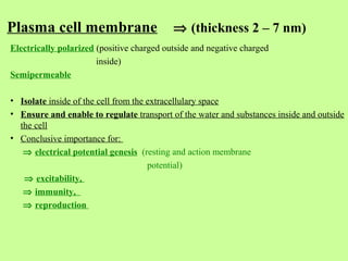 The properties of biological fluids and features of transport through ...