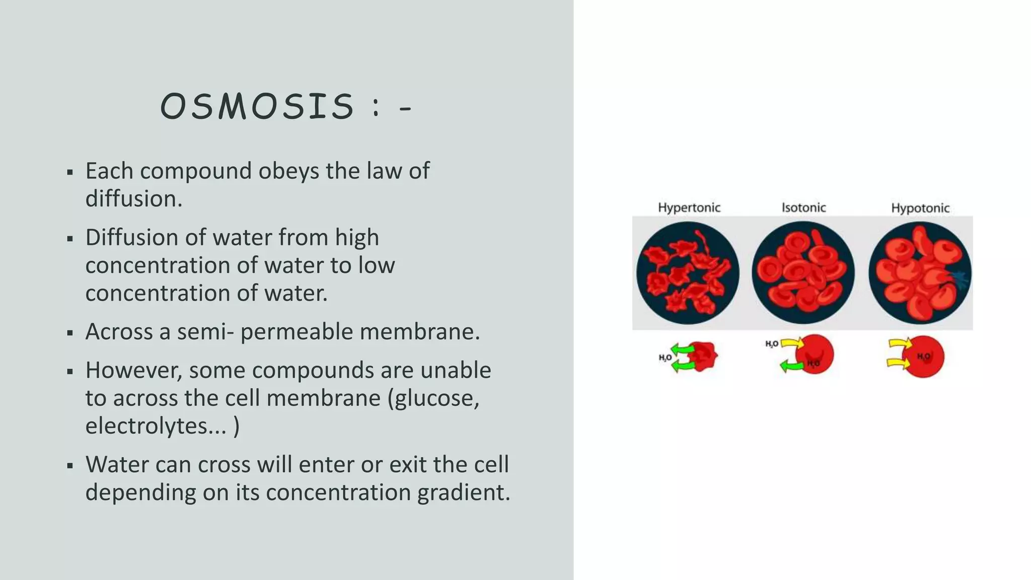 Transport mechanisms and their models. | PPTX