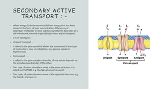 Transport mechanisms and their models. | PPTX
