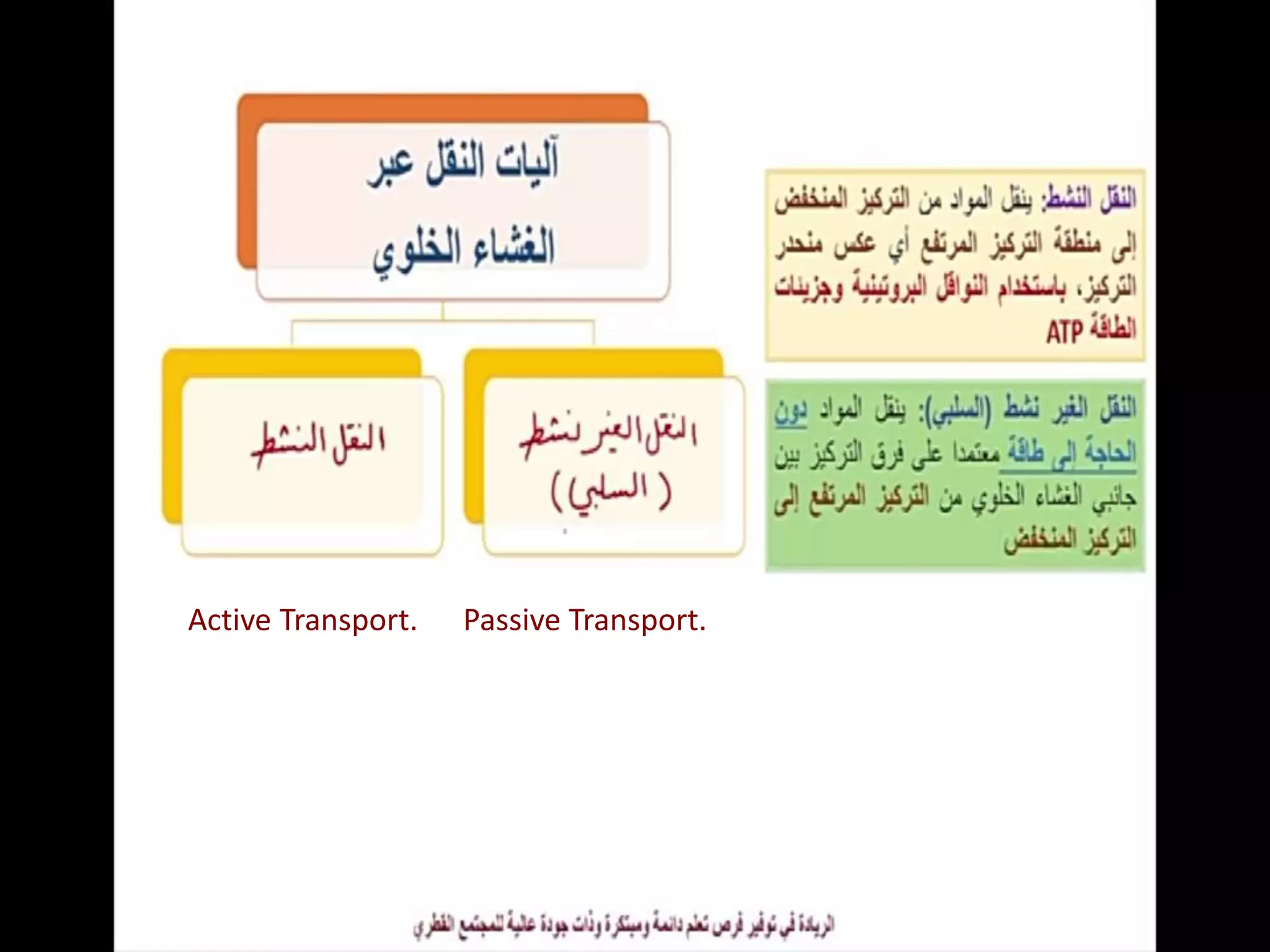 Transport Mechanisms & Endo and Exo.pptx