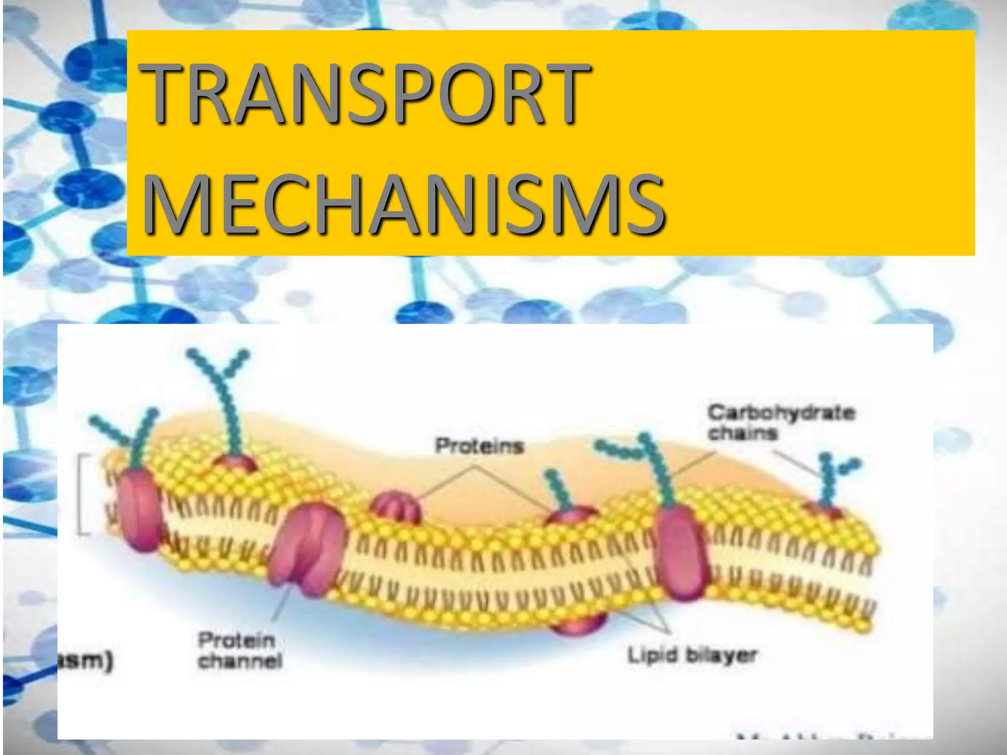 Transport Mechanisms(Gen.Bio).pptx