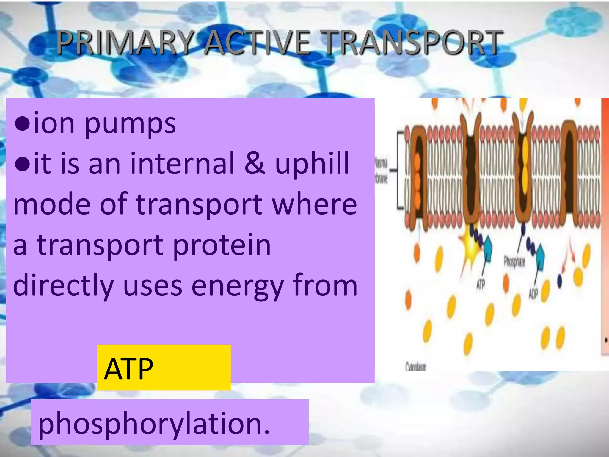 Transport Mechanisms(Gen.Bio).pptx