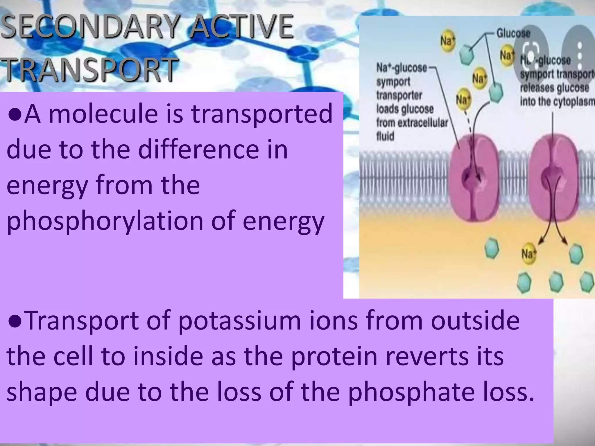 Transport Mechanisms(Gen.Bio).pptx