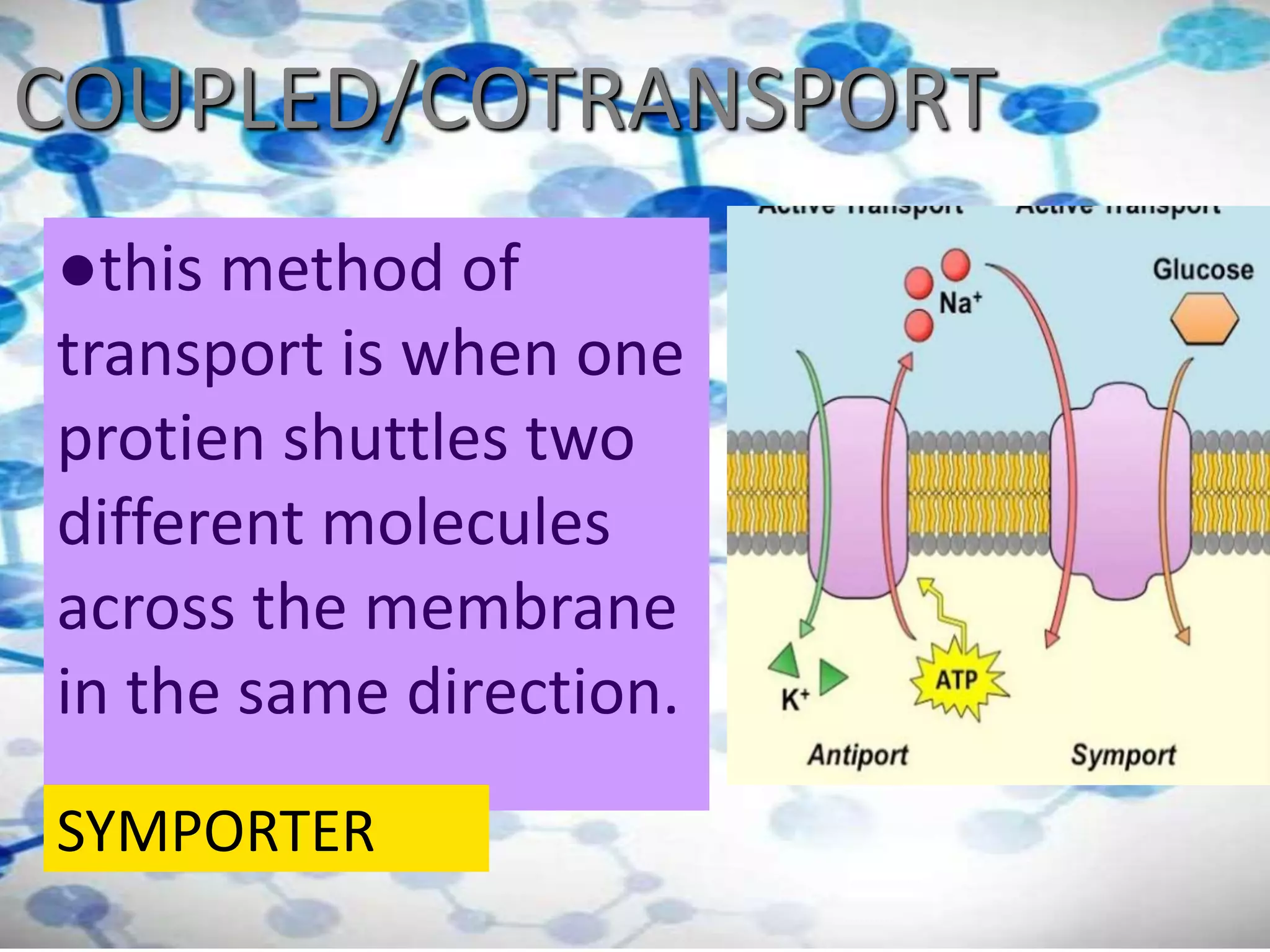 Transport Mechanisms(Gen.Bio).pptx