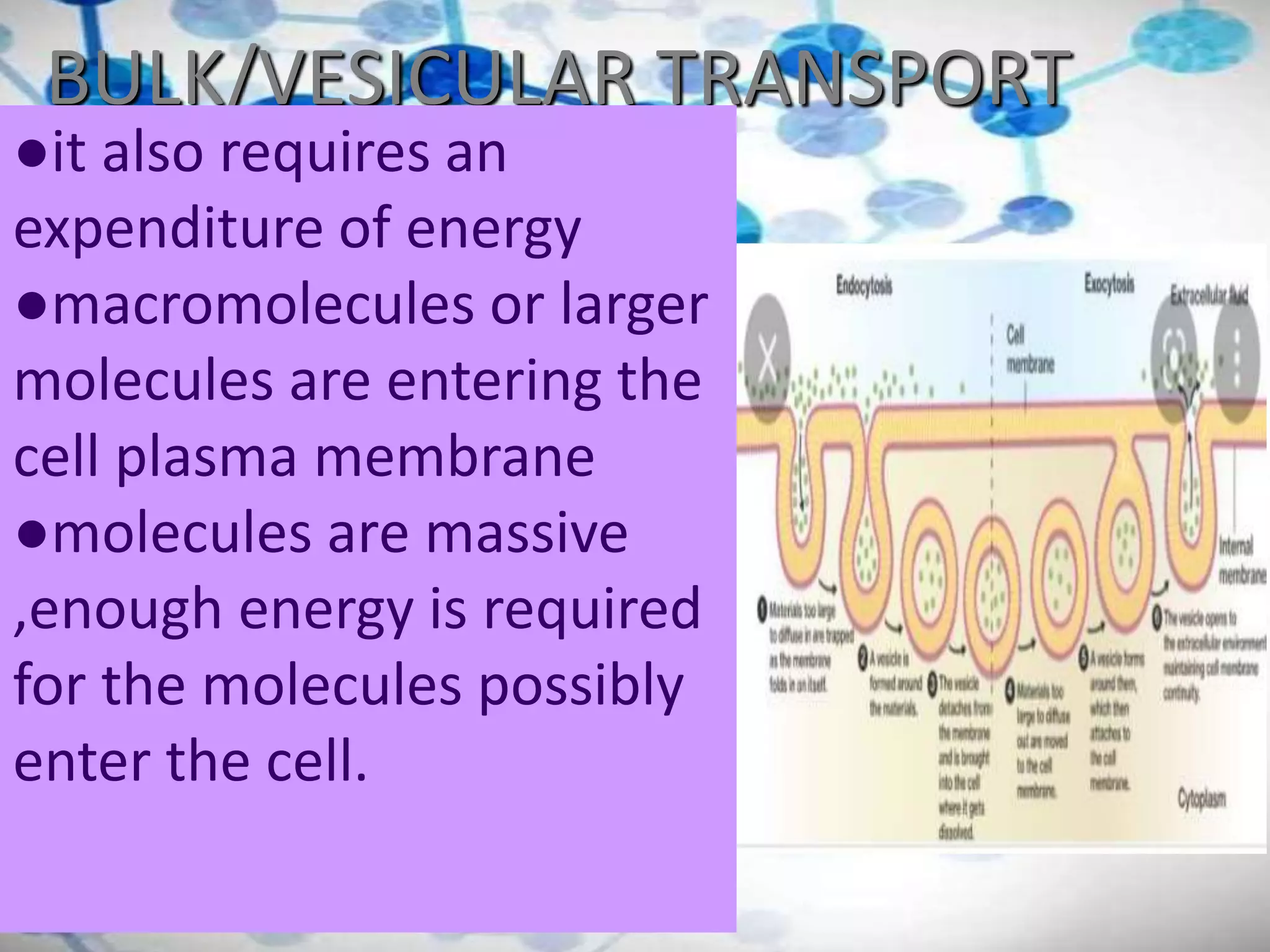 Transport Mechanisms(Gen.Bio).pptx