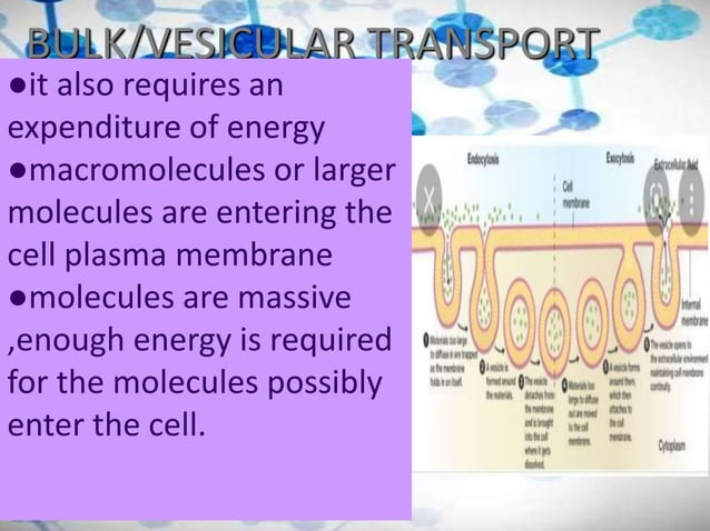 Transport Mechanisms(Gen.Bio).pptx