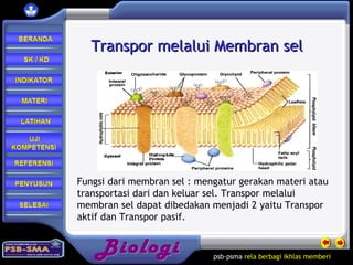 Transport membran | PPT