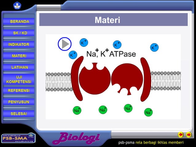 Transport Membran sel, biologi kelas XI MIPA | PPT