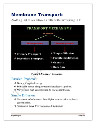 Transport membrane | DOCX