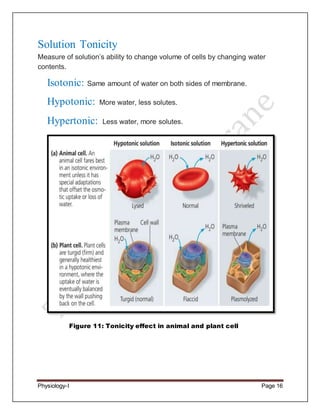 Transport membrane | DOCX