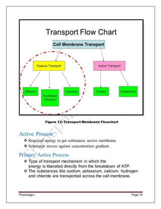 Transport membrane | DOCX