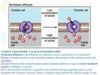 transport_membran_sel makhluk hidup biologi | PPT
