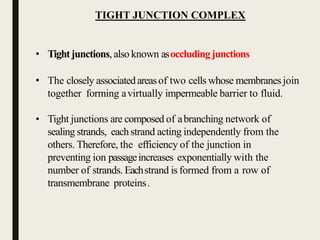 Transport models biopharamaceutics | PPTX