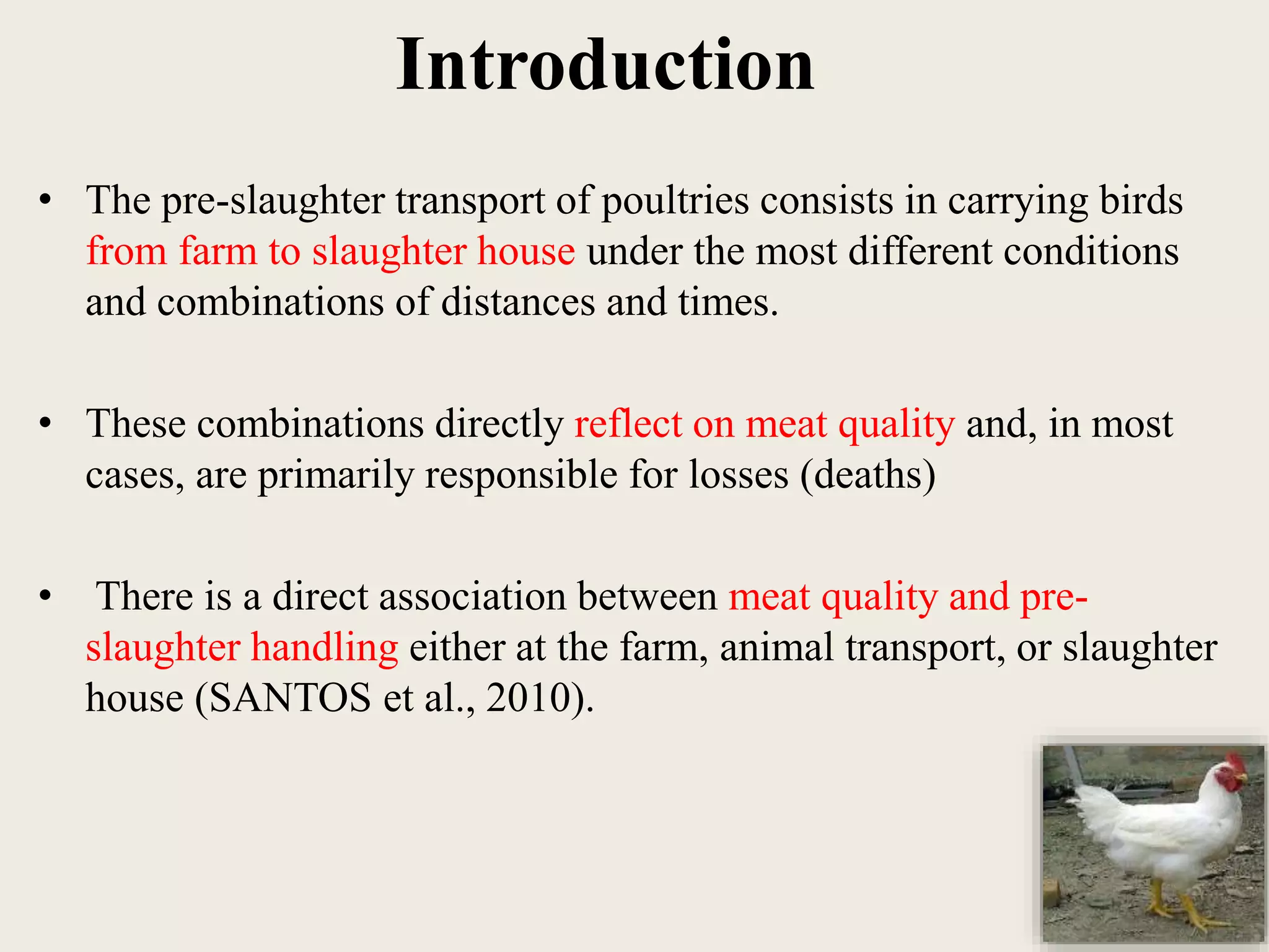 Transport of broilers | PPTX
