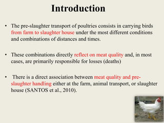 Transport of broilers | PPTX