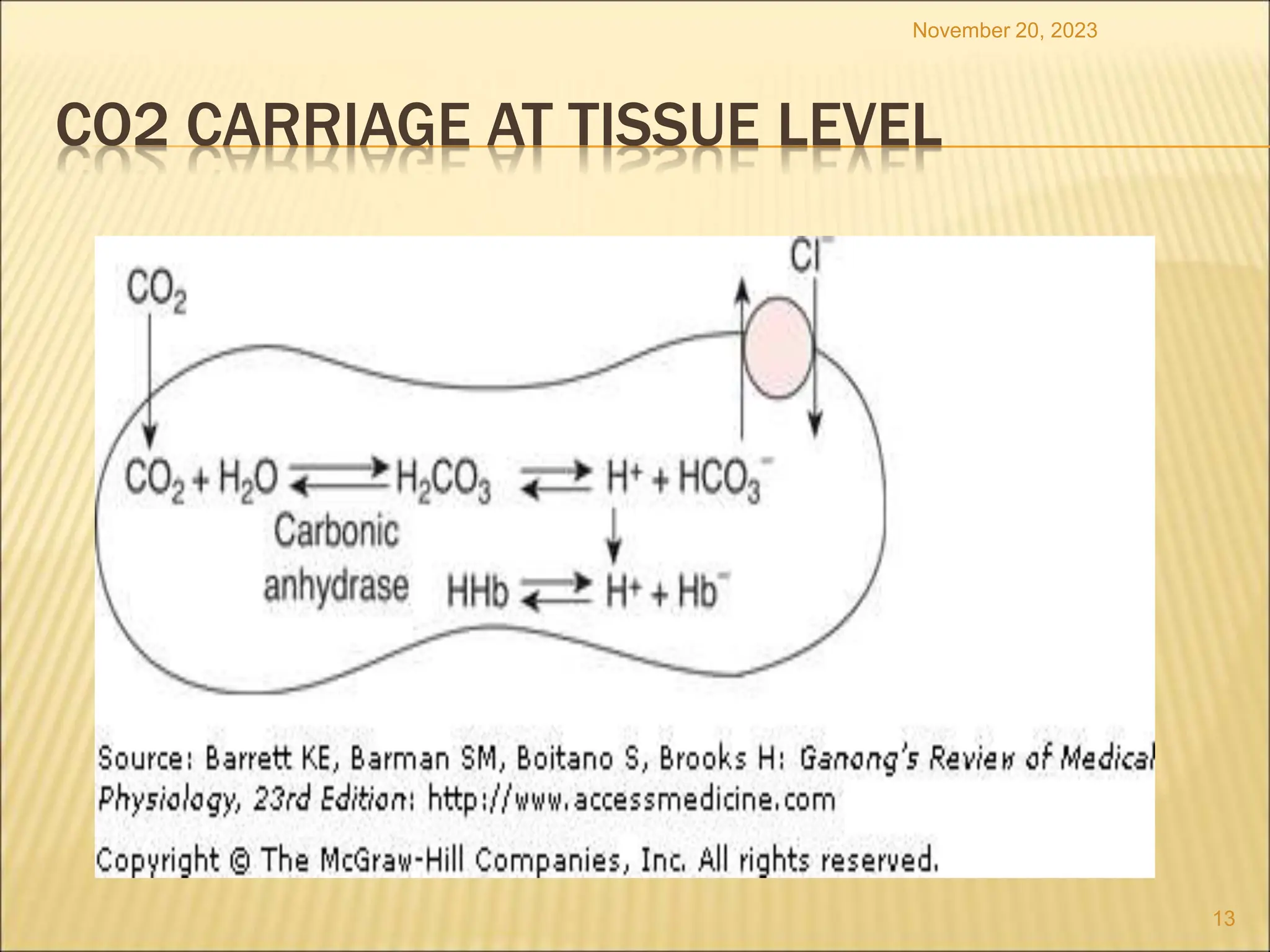Transport of Carbondioxid.ppt