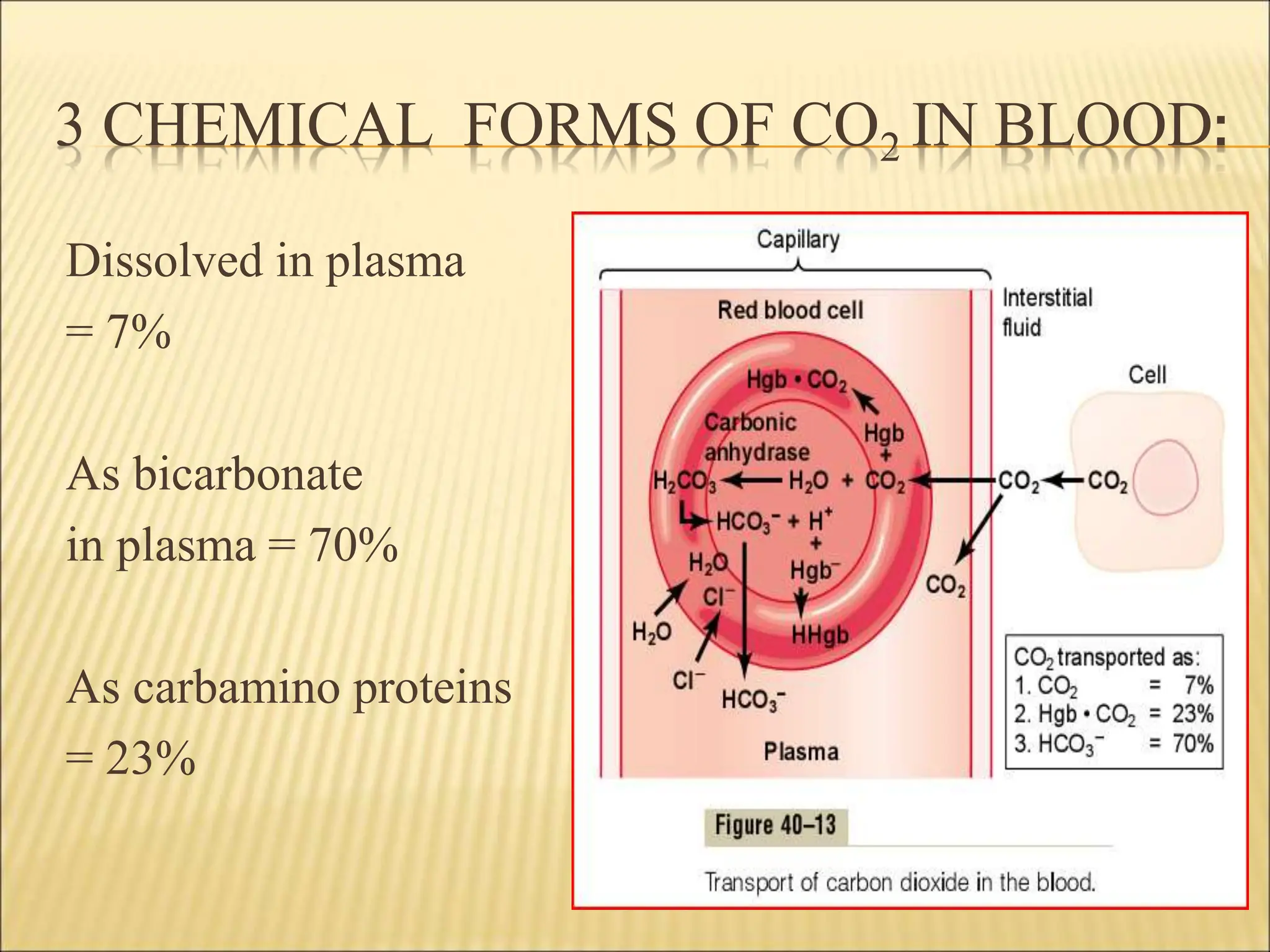 Transport of Carbondioxid.ppt