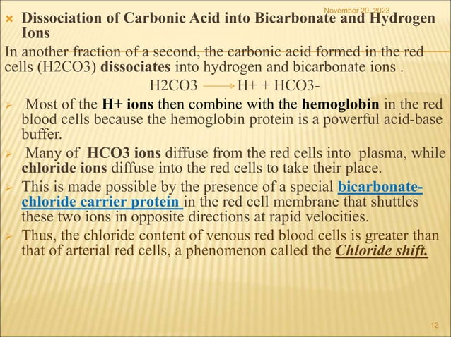 Transport of Carbondioxid.ppt