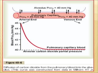 Transport of Carbondioxid.ppt