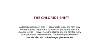 Detailed Transport of Carbon Dioxide-3.pptx