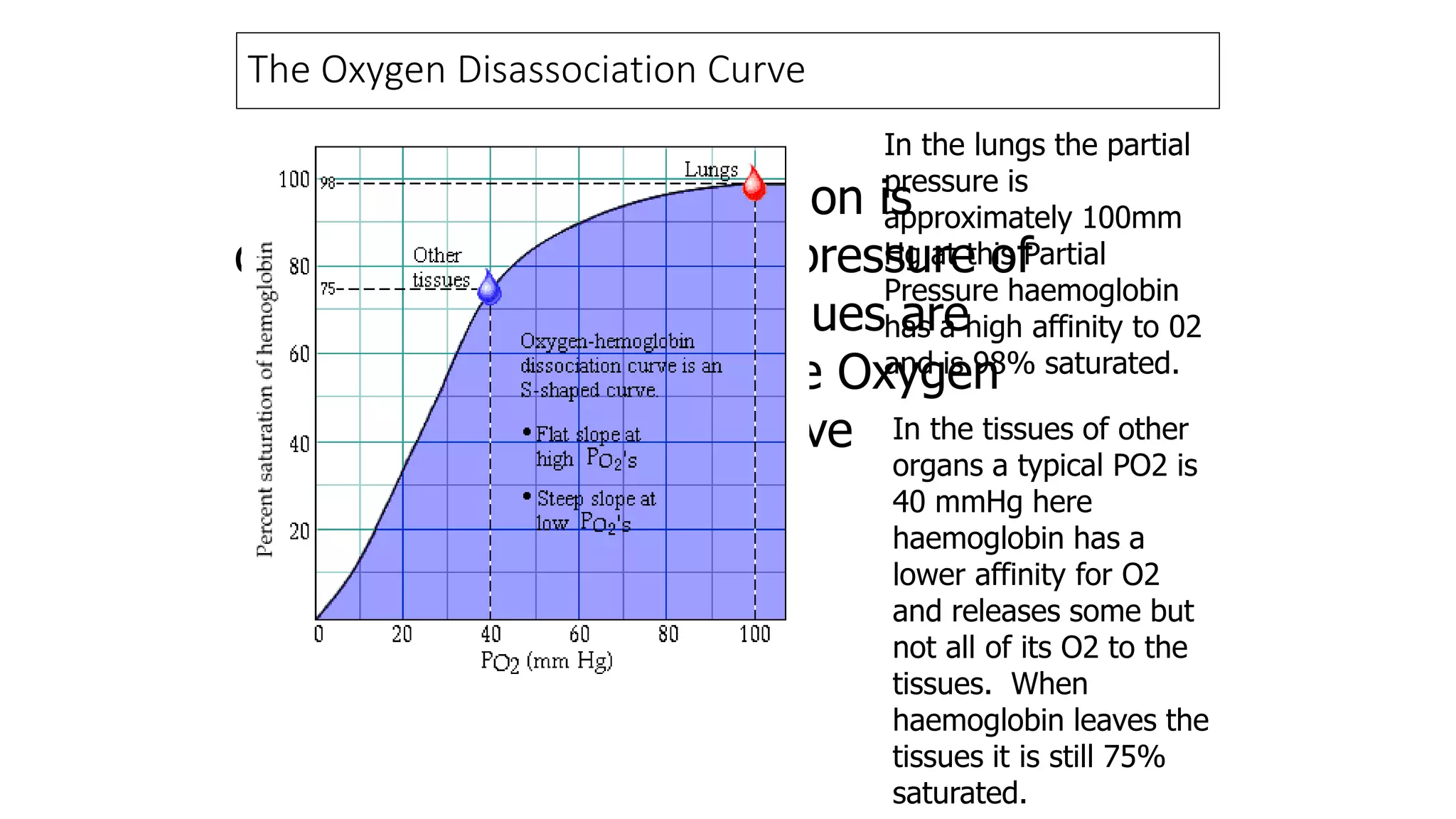 Transport of gases | PPTX