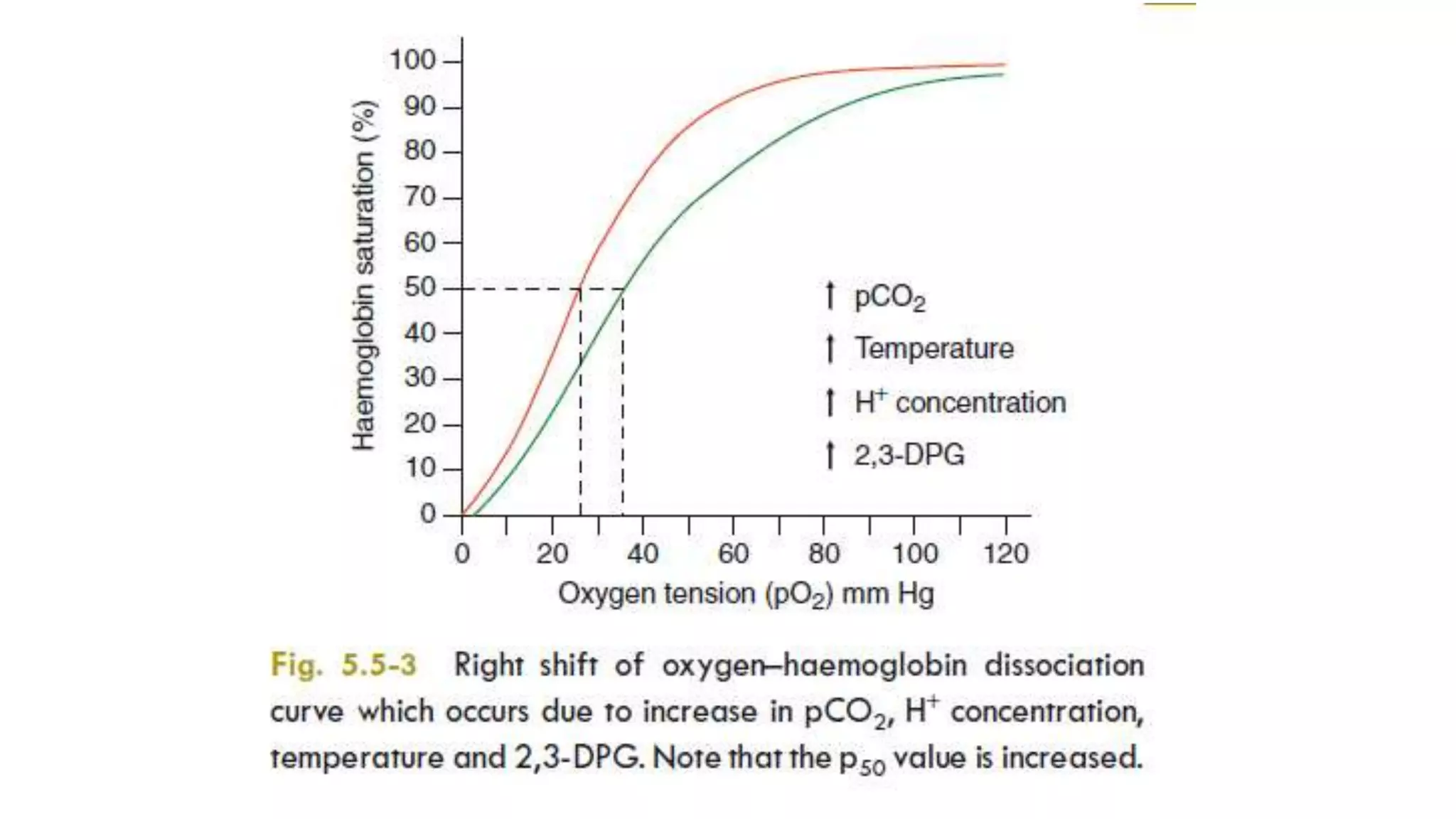 Transport of gases | PPTX