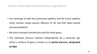 Transport of gases | PPTX