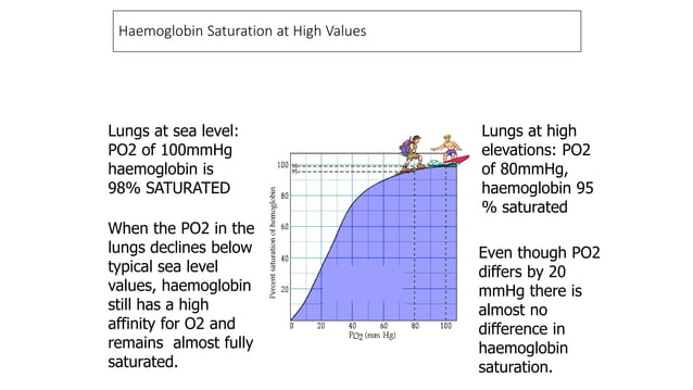 Transport of gases | PPTX