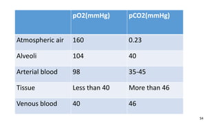 Transport of gases | PPTX