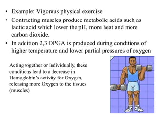 transport of gases.ppt