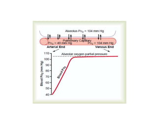 transport of gases.ppt