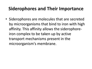 Transport of Iron .pptx