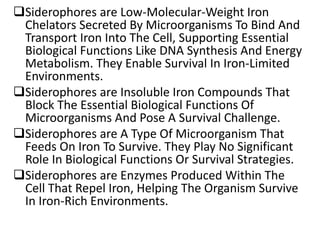 Transport of Iron .pptx