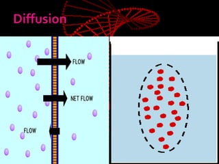 Transport of materials final 9 | PPTX