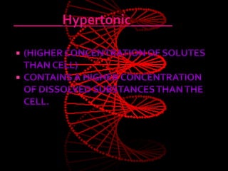 Transport of materials final 9 | PPTX