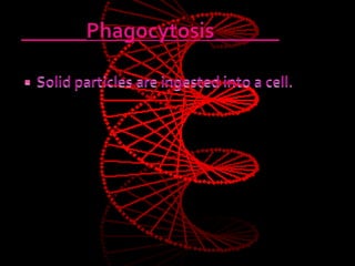Transport of materials final 9 | PPTX