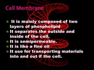 Transport of materials final 9 | PPTX