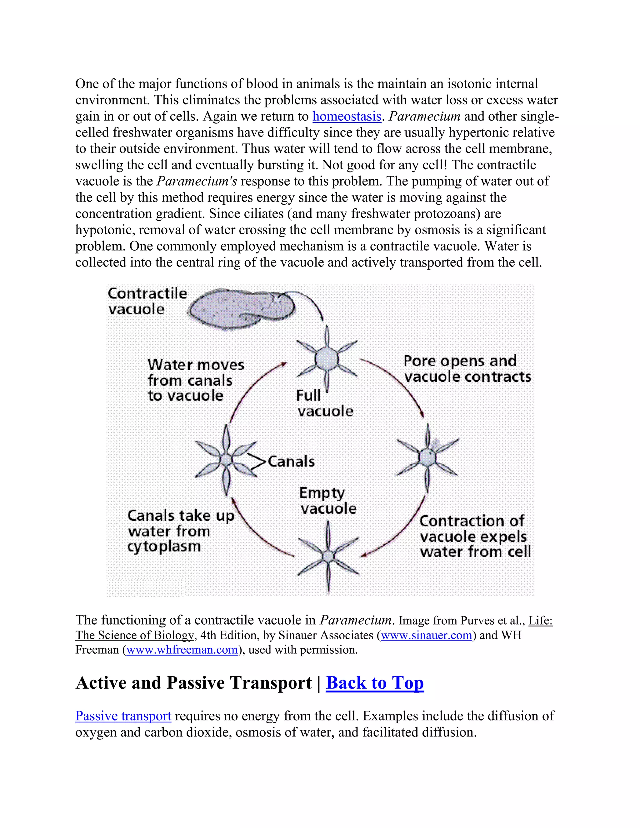 Transport of materials through cell membranes | DOCX