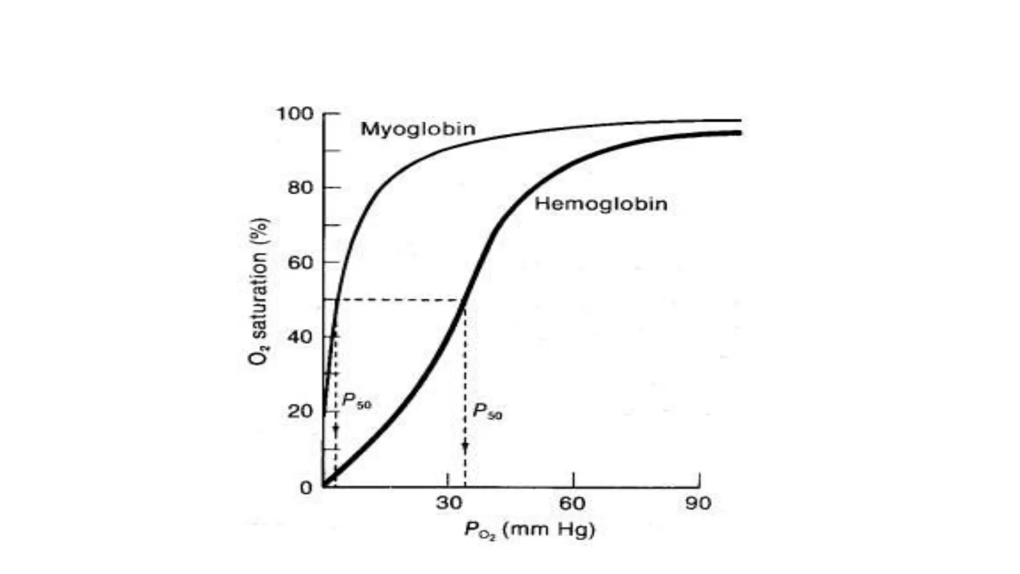 Transport of o2 and co2 between respiratory surface | PPTX