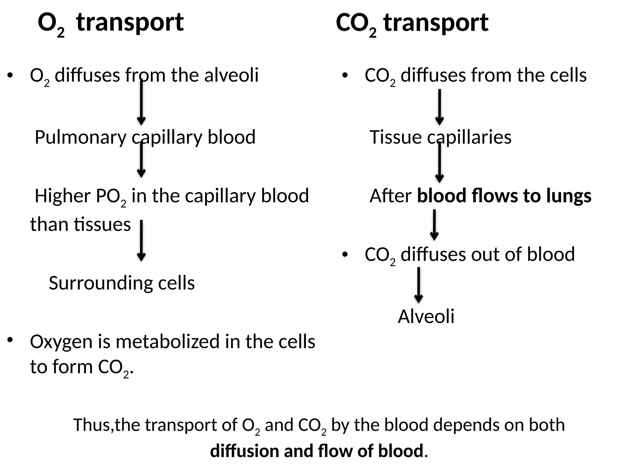 Transport of O2 and CO2 in blood and tissue fluids laptop.pptx