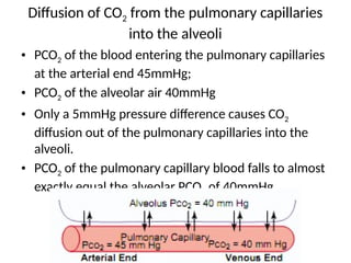 Transport of O2 and CO2 in blood and tissue fluids laptop.pptx