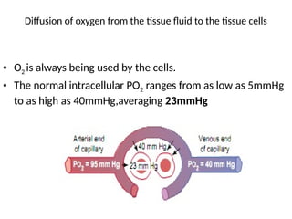 Transport of O2 and CO2 in blood and tissue fluids laptop.pptx