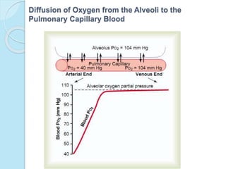 Transport of oxygen (the guyton and hall physiology) | PPTX