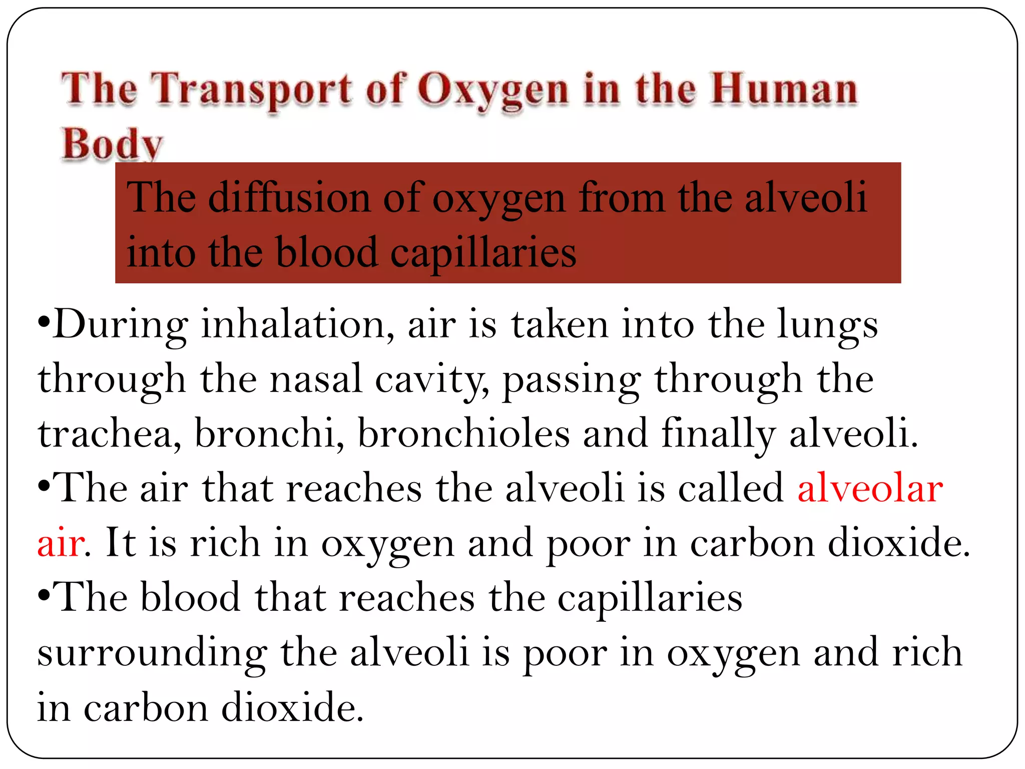 Transport of oxygen | PPTX