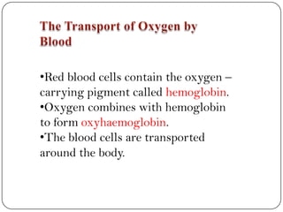 Transport of oxygen | PPTX