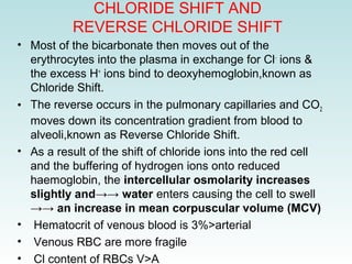 Transport of oxygen and carbon dioxide | PPT