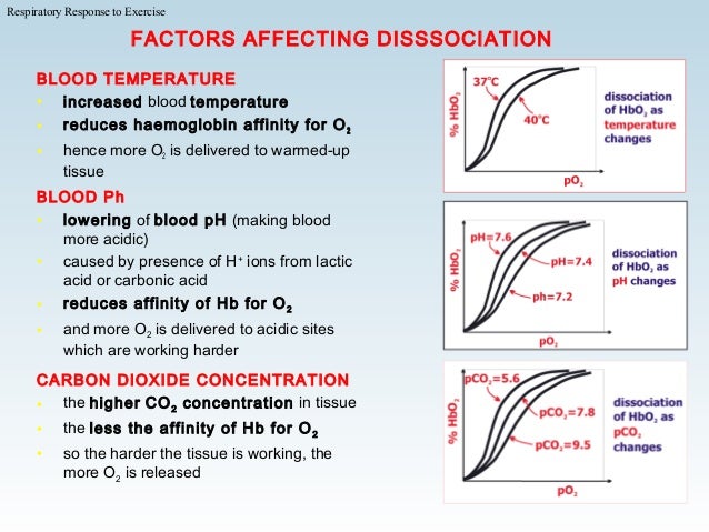 Transport of oxygen and carbon dioxide