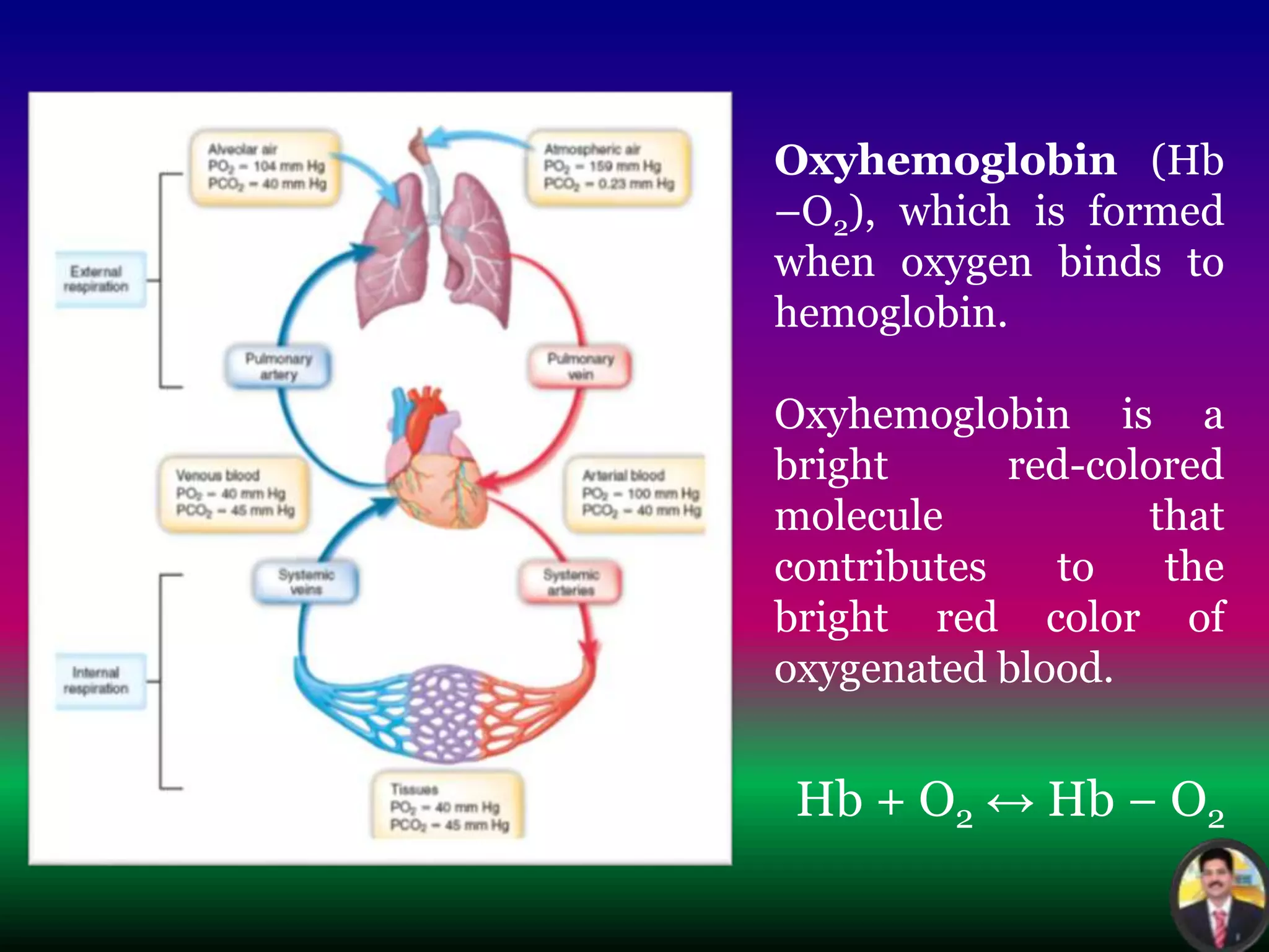 Transport of oxygen and carbondioxide | PPTX