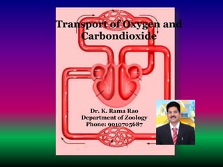Transport of oxygen and carbondioxide | PPTX