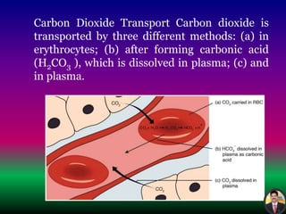 Transport of oxygen and carbondioxide | PPTX